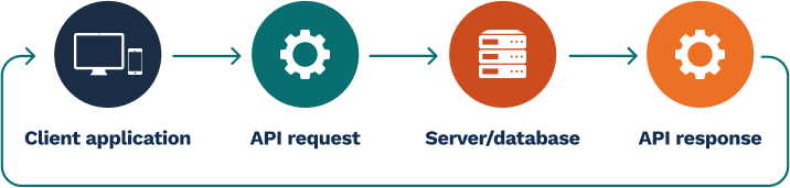 Why Insurance APIs are Critical | Solartis