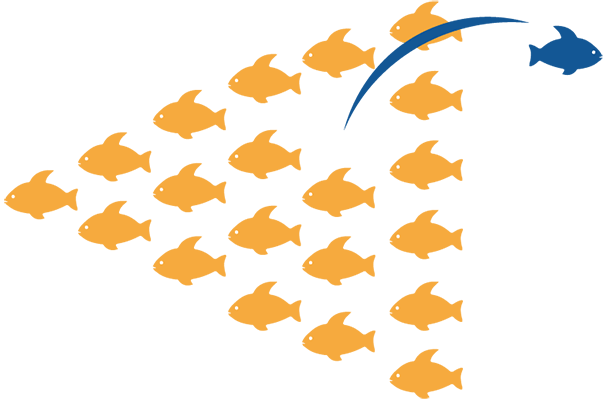 Why Solartis Insure?